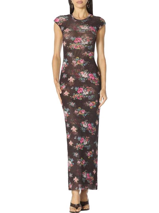 AFRM AFRM Mylo Floral Print Mesh Maxi Dress